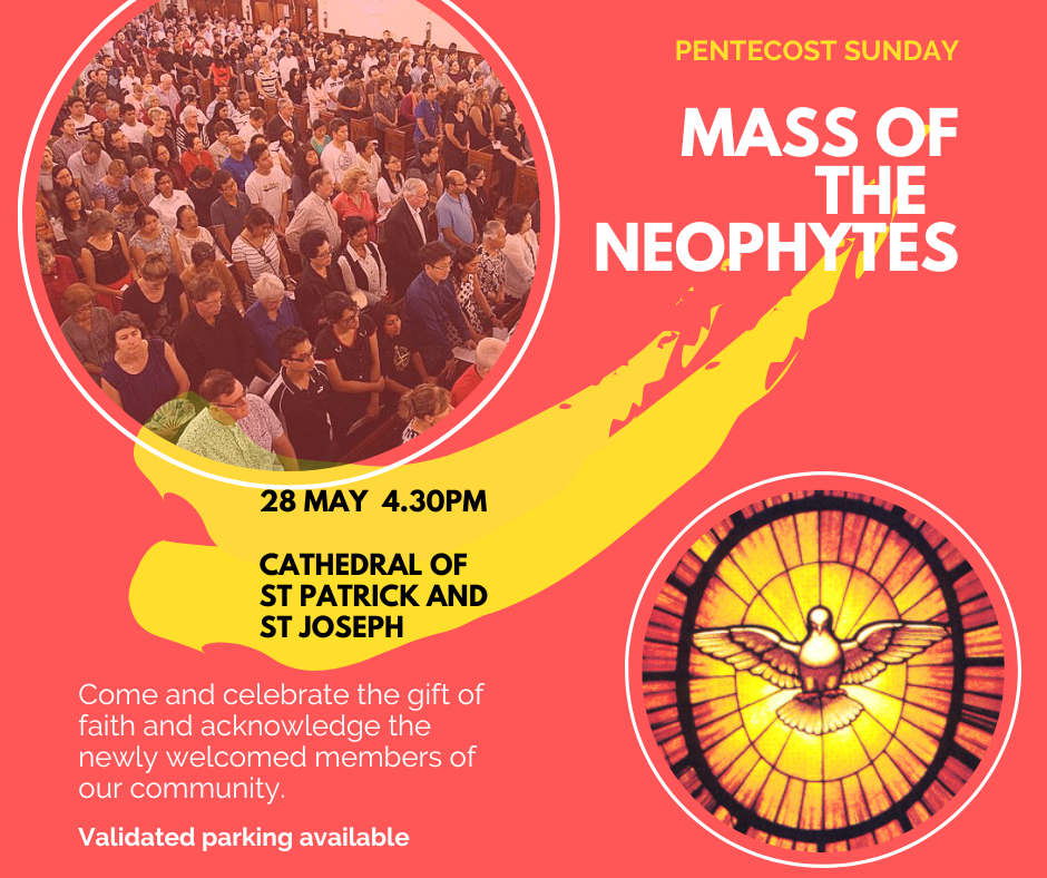 Cathedral of St. Patrick & St Joseph